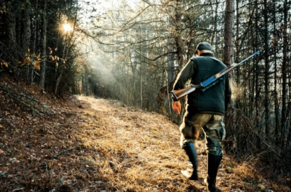 Nevada Hunting 101: Guns, Fees, Timelines | The Range 702